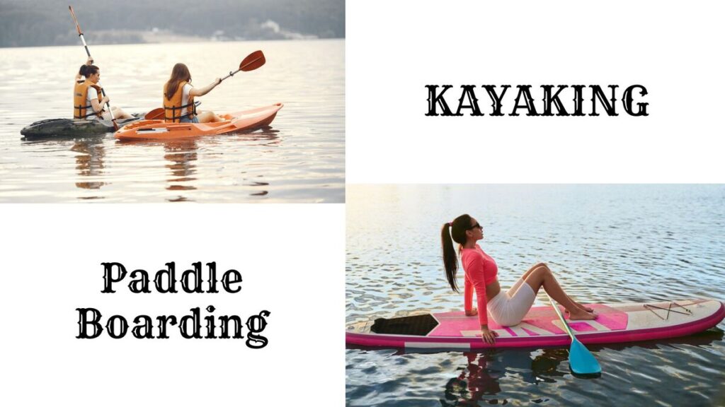 Paddle Boarding vs. Kayaking in Miami Beach: Which Water Sport is Right ...